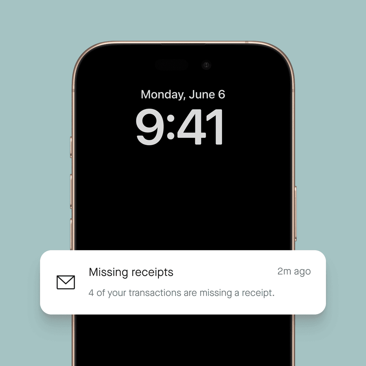Credit card transaction monitoring | Pliant